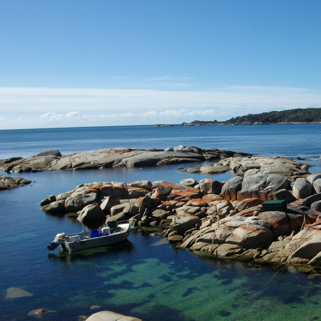 Walk Tasmania for Eating Disorders - Eating Disorders Victoria